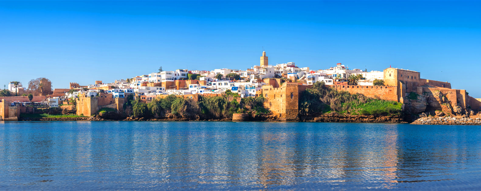 Registration Information